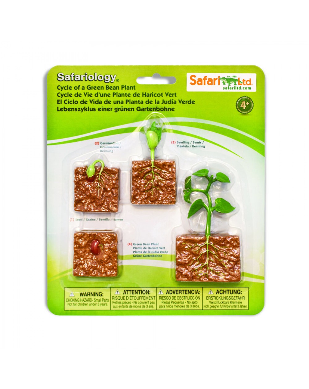 Zaļo Pupiņu Dzīves Cikls - Safari Ltd. - OWK-1006 - Attīstošas Rotaļlietas