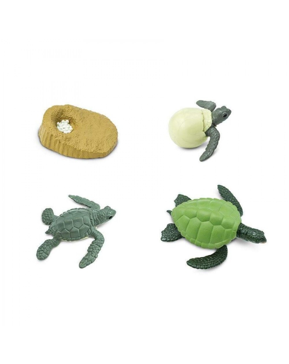 Zaļā Jūras Bruņurupuča Dzīves Cikls - Safari Ltd. - OWK-1005 - Attīstošas Rotaļlietas